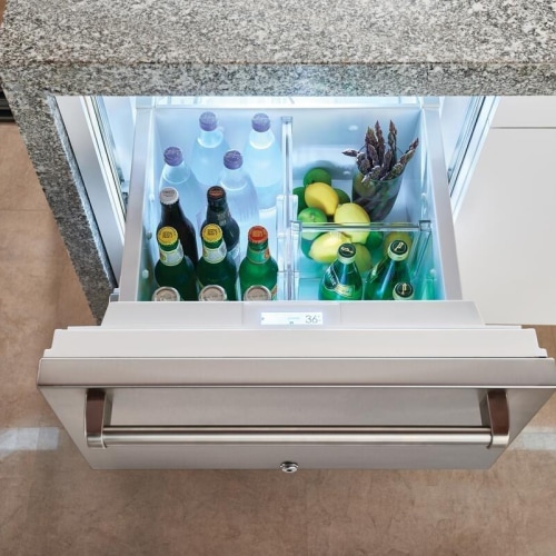 ICBID-24RO - Sub-Zero Wolf