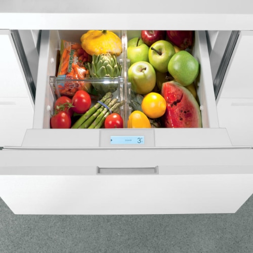 ICBID-24RO - Sub-Zero Wolf